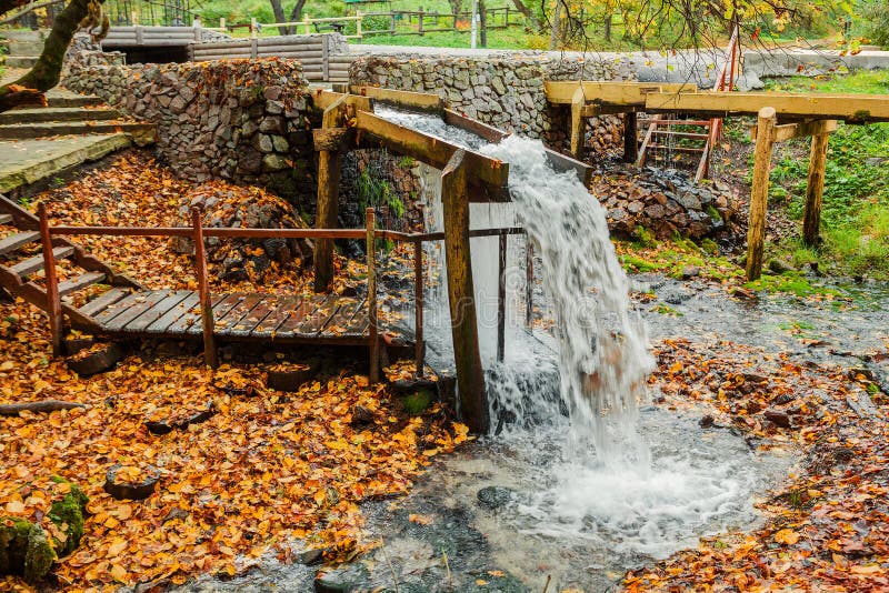 The Source of the Stream in the Autumn Forest Stock Photo - Image of ...
