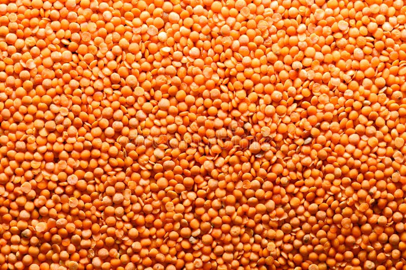 Source of Vegetable Protein. Lentil Texture Stock Image - Image of ...