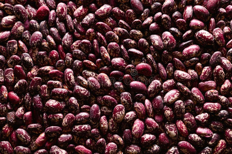 Source of Vegetable Protein. Red Bean Texture Closeup Stock Image ...