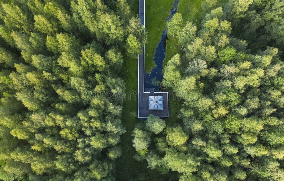 The Source of the Volga River, a Stream Flowing from a Spring. Stock ...