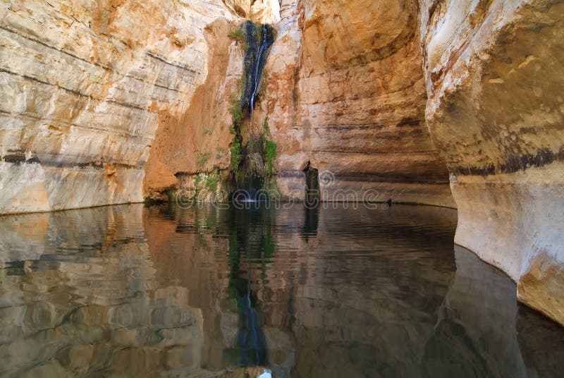 Source of water stock photo. Image of plant, desert, glen - 2325934