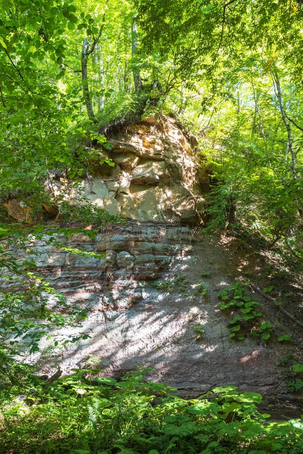 The Sources of the Mountain River in the Spring in Nature, Walking ...