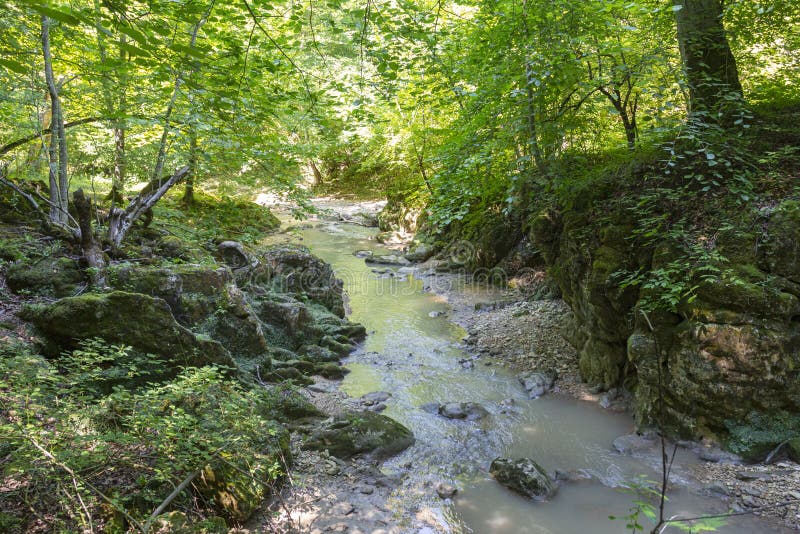 The Sources of the Mountain River in the Summer, the Canyon and the ...