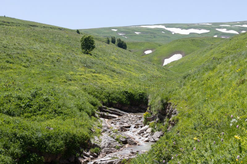 The Sources of Mountain Rivers, Walks through Alpine Meadows at the ...