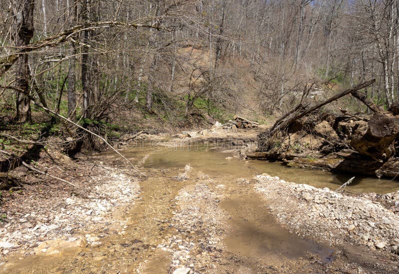 The Flow of Water Along the River Bottom in the Middle of Spring with ...