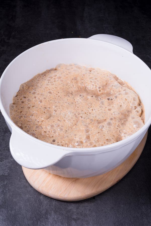 Sourdough stock photo. Image of meal, german, lactobacilli - 94121354