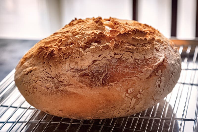 Soudough Home Made Bread, Cooked in Dutch Oven Stock Photo - Image of ...