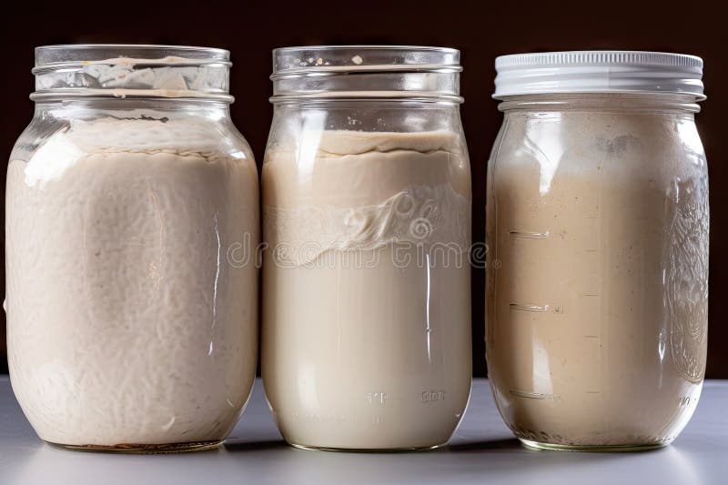Sourdough Starter, with Different Stages of Fermentation and Rising ...
