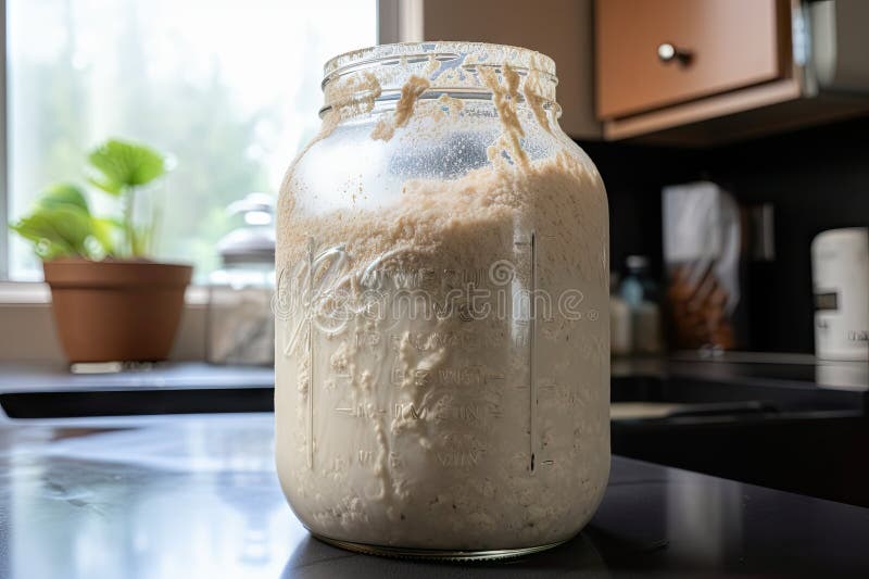 Sourdough Starter Growing and Fermenting in Jar, with Clear View of ...