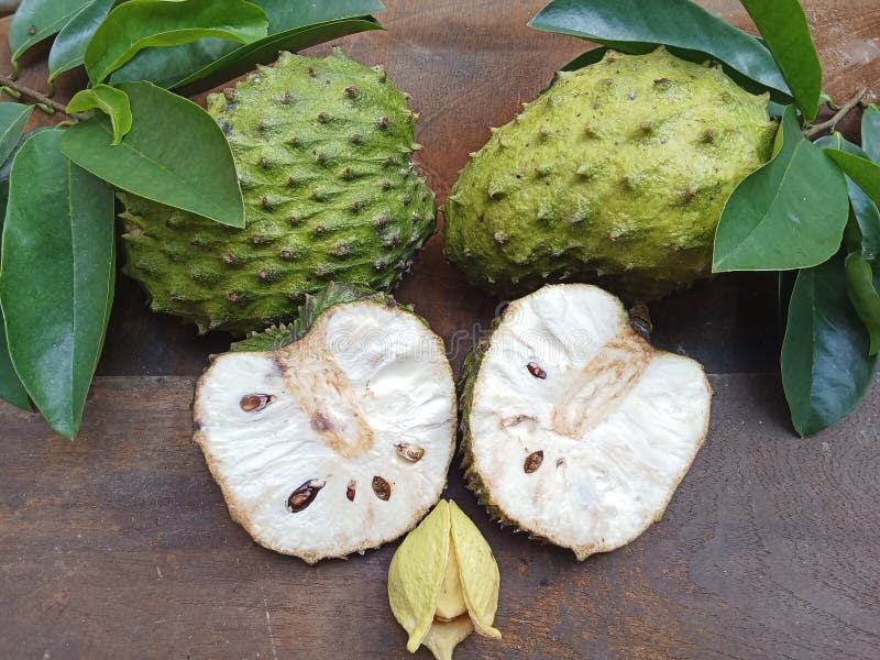 Soursop Fruit is a Tropical Fruit that Taste Sweet and Sour Stock Image ...