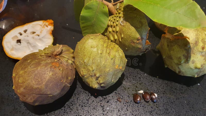 Soursop with Seeds stock photo. Image of sour, organic - 322496692