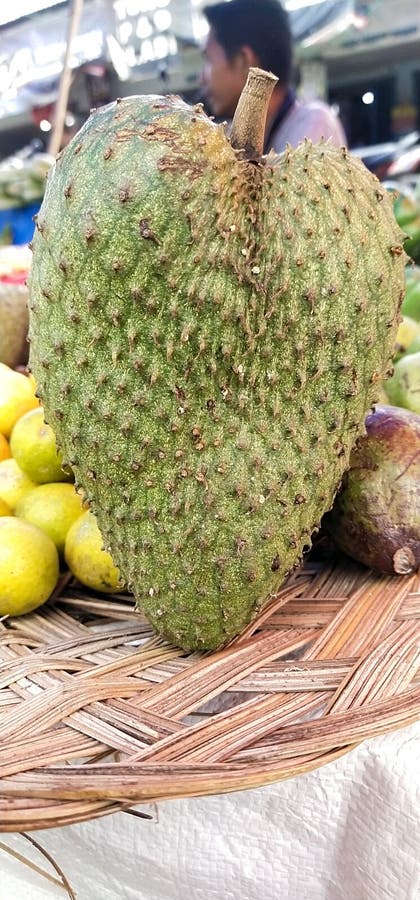 A Soursop Sold in the Market Stock Photo - Image of yellow, cactus ...