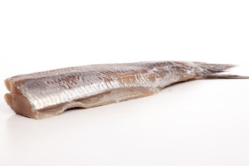 SOUSED HERRING stock image. Image of nieuwe, traditional - 20087469