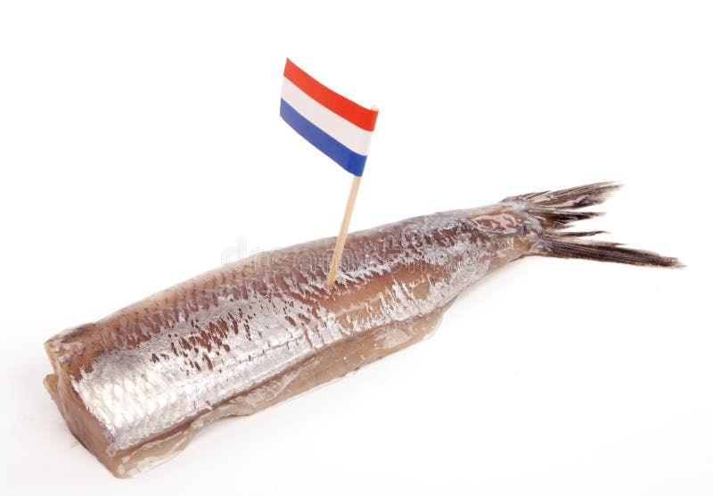 Typical Dutch Salted Herring Called Maatje Zoute Haring Stock Photos ...