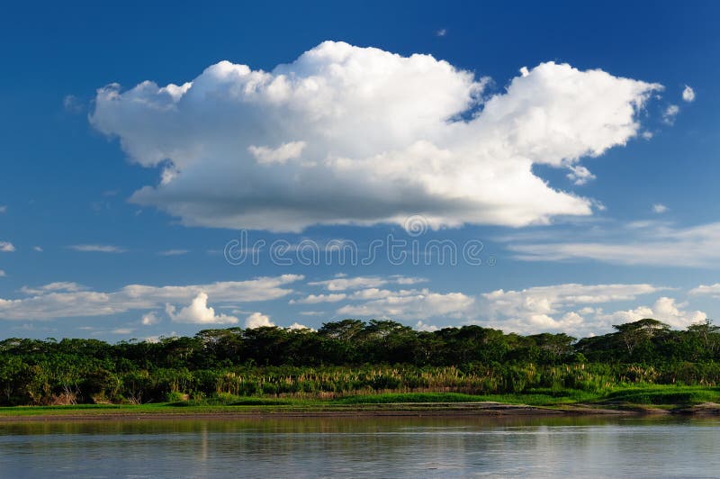 Amazon River Landscape in Brazil Stock Image - Image of amazon, protect ...