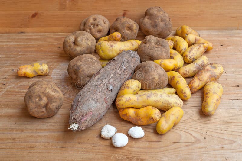 South American Potatoes stock photo. Image of white, solanum - 64046488