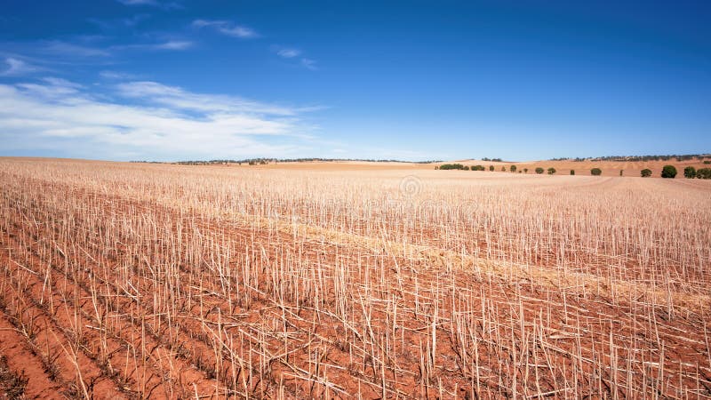 South Australia Agriculture Dry Field Stock Photo - Image of ...