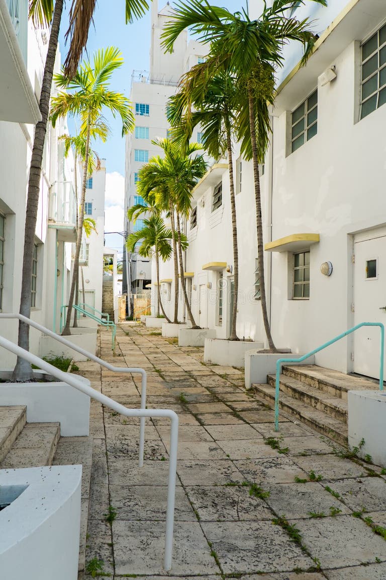 258 Miami Alley Stock Photos - Free & Royalty-Free Stock Photos from ...