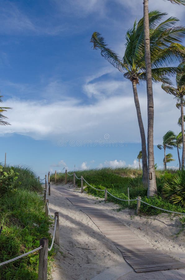 South Beach in Miami, Florida Stock Photo - Image of beach, sandy ...