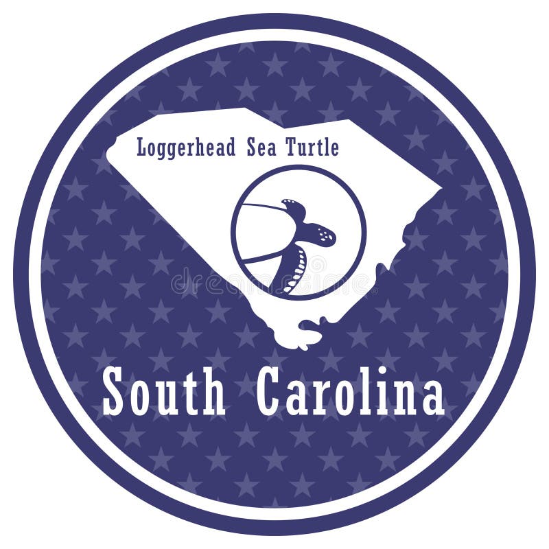 Loggerhead Sea Turtle Stock Illustrations – 545 Loggerhead Sea Turtle ...