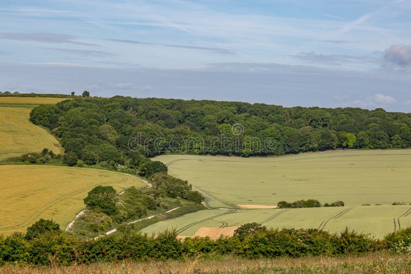 A South Downs Landscape stock image. Image of hillside - 173893623