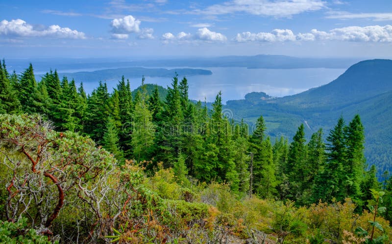 South Facing Summit of Mount Walker Washington Overlooking the Puget ...