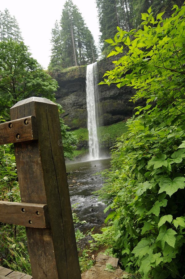 South Falls Cascade, Oregon Stock Image - Image of shadow, summer: 5710633