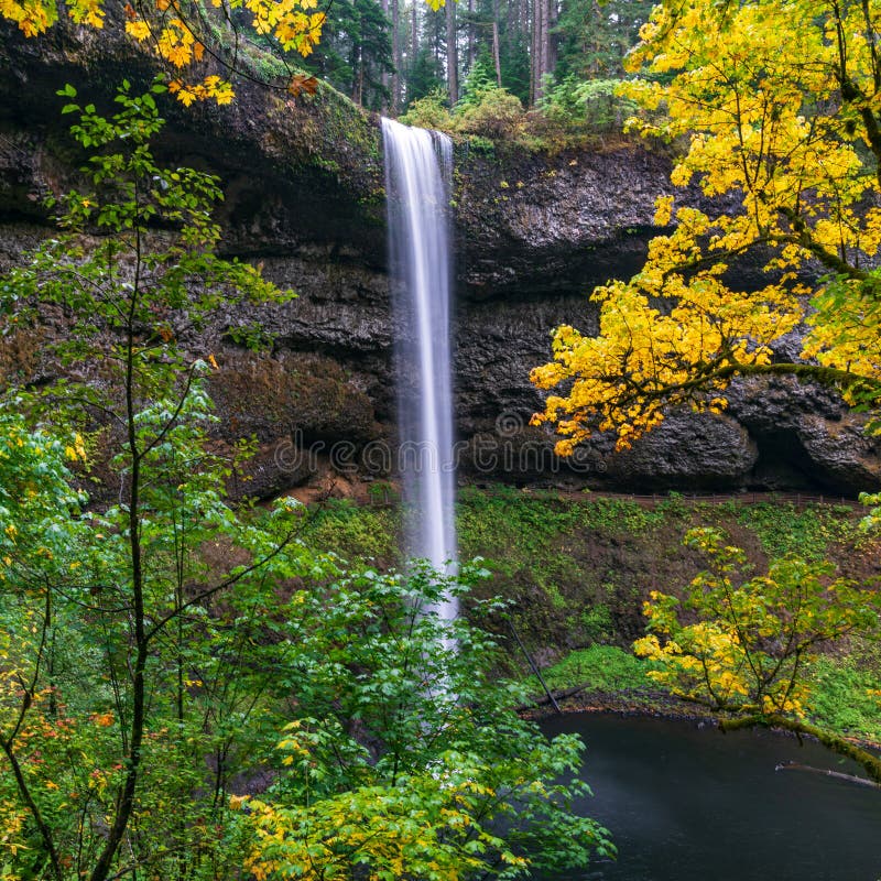 Fall Falls stock photo. Image of state, waterfalls, white - 304356744