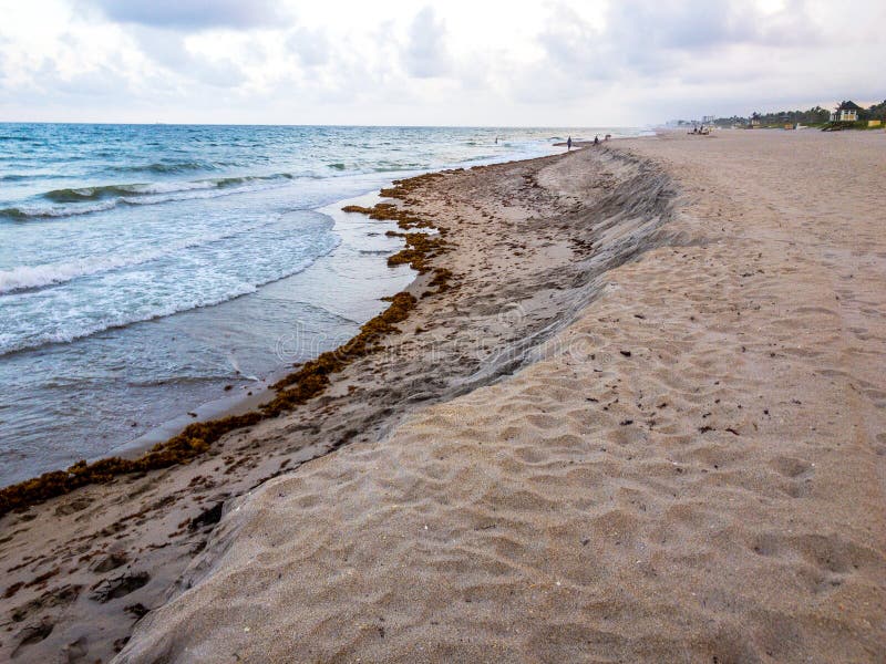 Erosion of Sand at the Beach in Florida Stock Image - Image of erosion ...