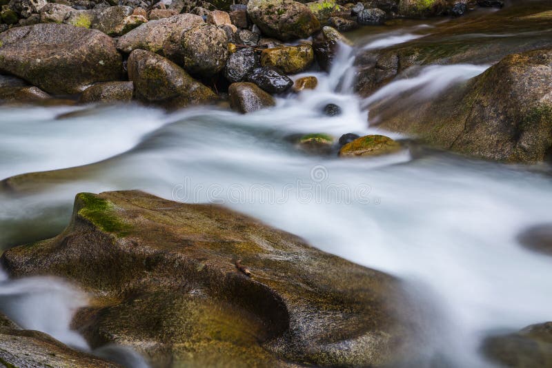 South Fork Snoqualmie River Flowing Stream with Slow Shutter Stock ...