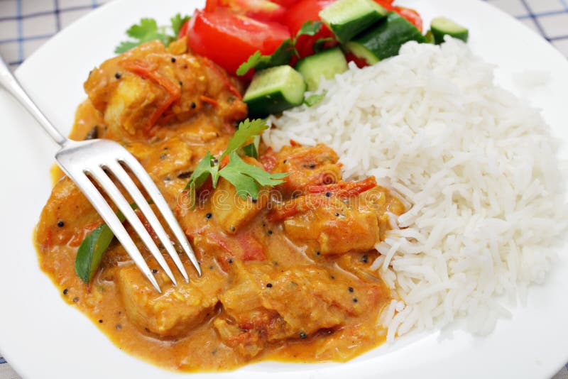 South Indian Chicken Curry Stock Image Image Of Basmati 24510599