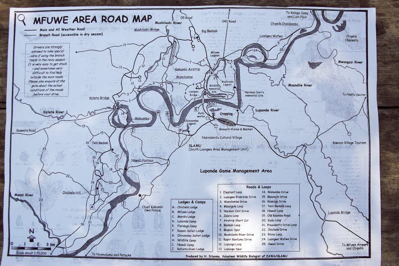 South Luangwa National Park Mfuwe Area Editorial Photo - Image of ...