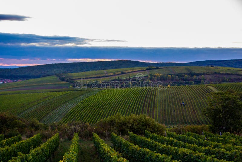 South Moravia stock image. Image of republic, wine, south - 79096081