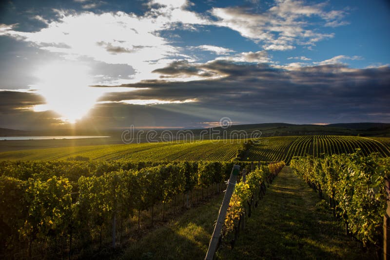 South Moravia stock image. Image of crop, check, meadow - 79096785