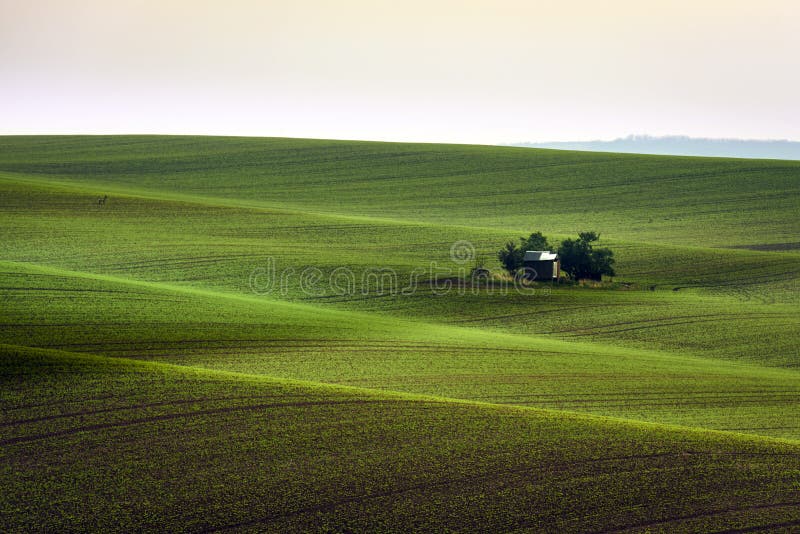 South Moravia landscape stock image. Image of ecological - 95213469