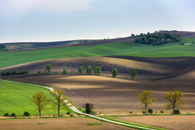 South Moravia Landscape with Wavy Fields Stock Image - Image of ...