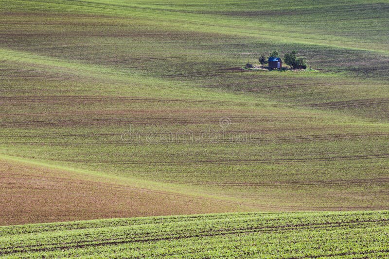 South Moravian Fields, Czech Republic Fields, Moravian Hills Stock ...