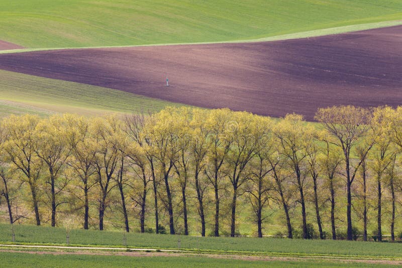 South Moravian Fields, Czech Republic Fields, Moravian Hills Stock ...