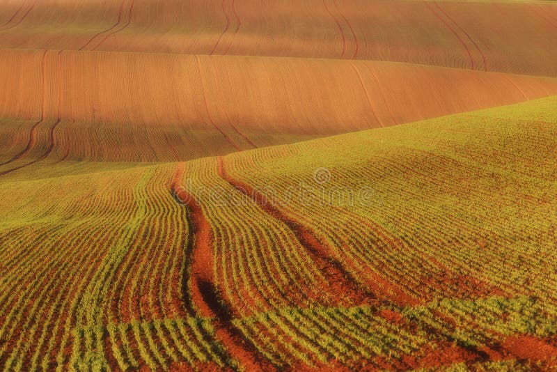 South Moravian Fields, Czech Republic Fields, Moravian Hills Stock ...