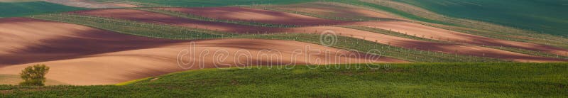 South Moravian Fields, Czech Republic Fields, Moravian Hills Stock ...
