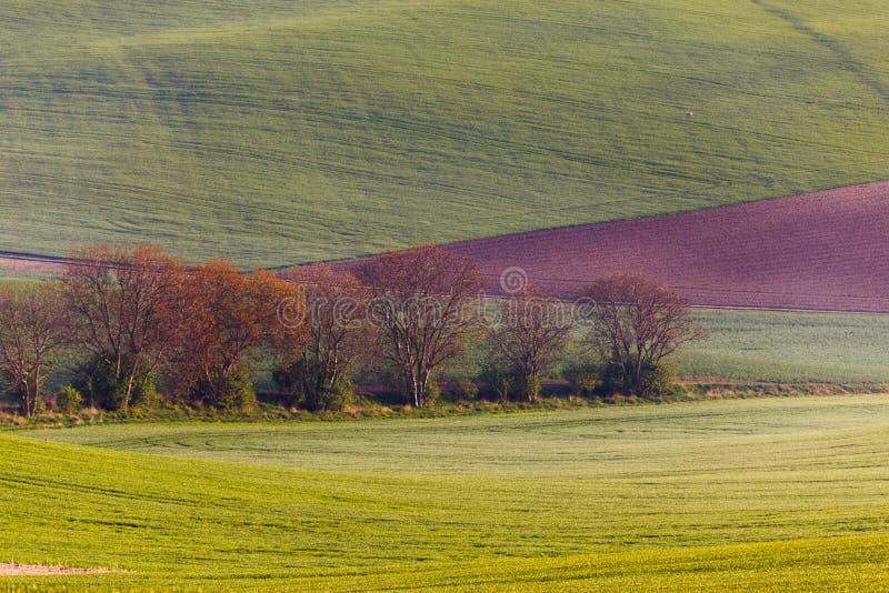 South Moravian Fields, Czech Republic Fields, Moravian Hills Stock ...