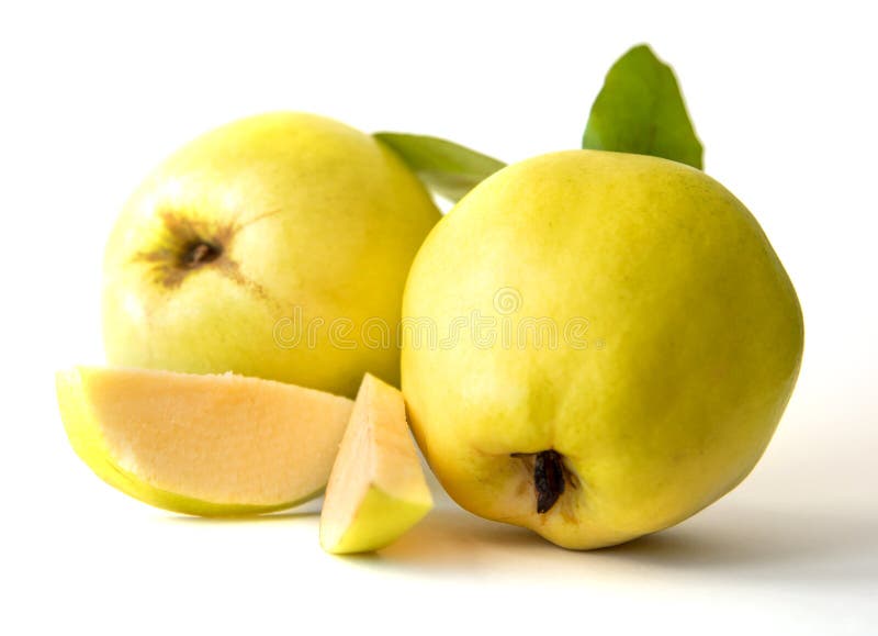 South quince fruit stock image. Image of flavor, superfood - 82817859