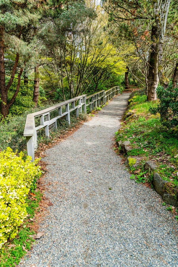 South_Seattle_Garden_Path 2 Stock Photo - Image of trees, state: 315565434