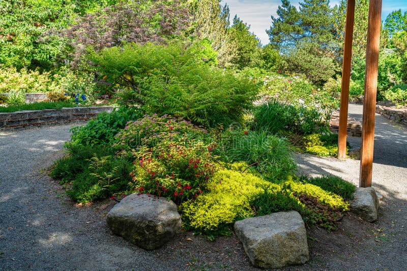 South Seattle Garden Plants 2 Stock Photo - Image of horticulture ...