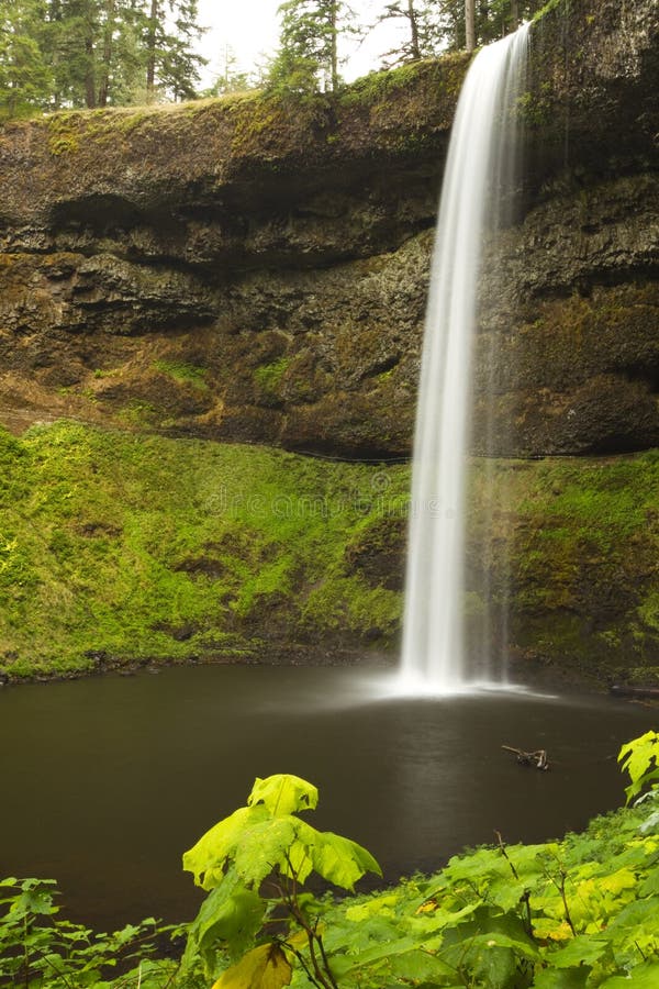 Oregon Cascade Mountains, Silver Falls State Park Stock Image - Image ...