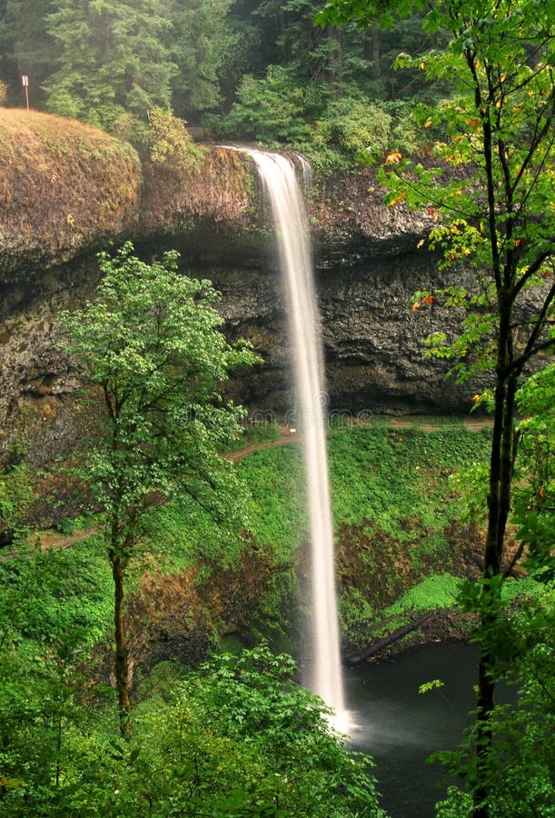 South Silver Falls stock photo. Image of trees, green, cliff - 678218