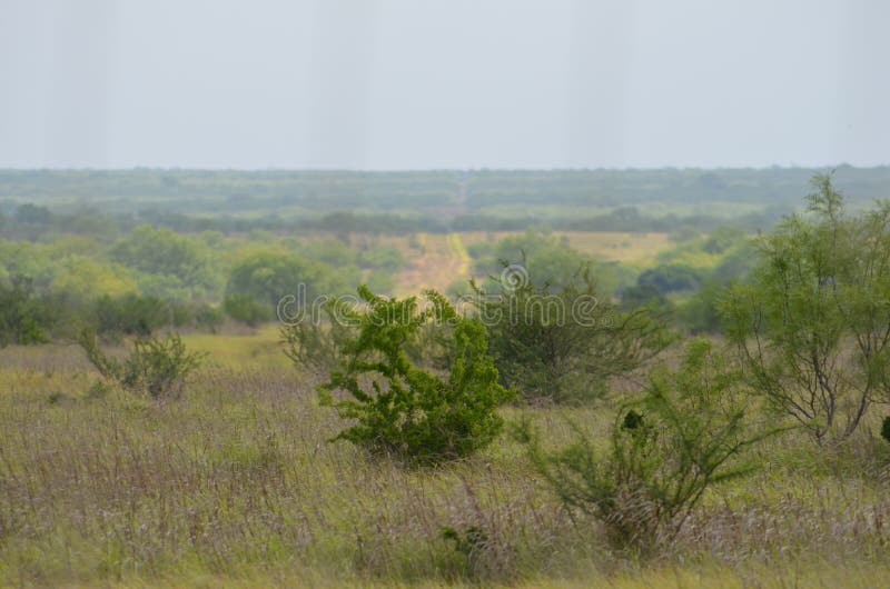 2,326 Texas Ranch Landscape Stock Photos - Free & Royalty-Free Stock ...