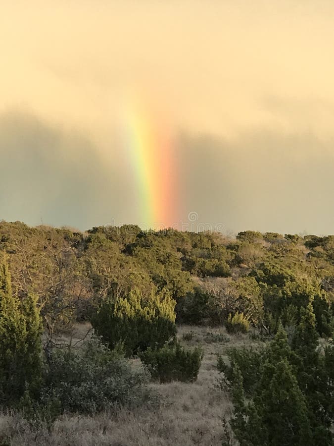 South Texas rainbow stock photo. Image of texas, south - 105496804