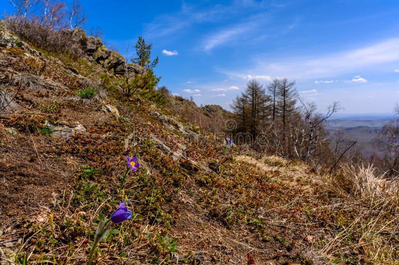 South Ural Mountains with a Unique Landscape, Vegetation and Diversity ...