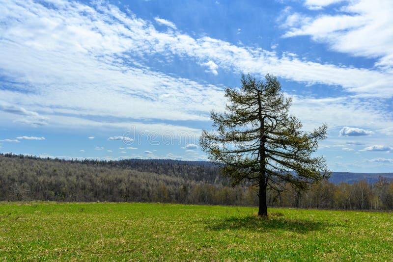 South Ural Mountains with a Unique Landscape, Vegetation and Diversity ...